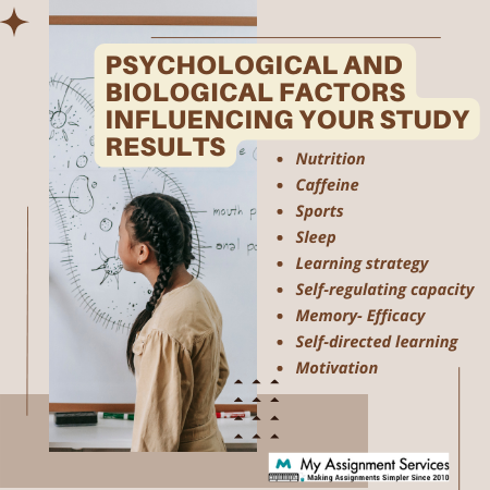 What Is the Biological Foundation of Learning