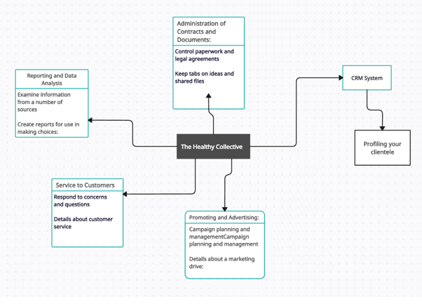 Case Study The Healthy Collective and its Relationship to Other ...