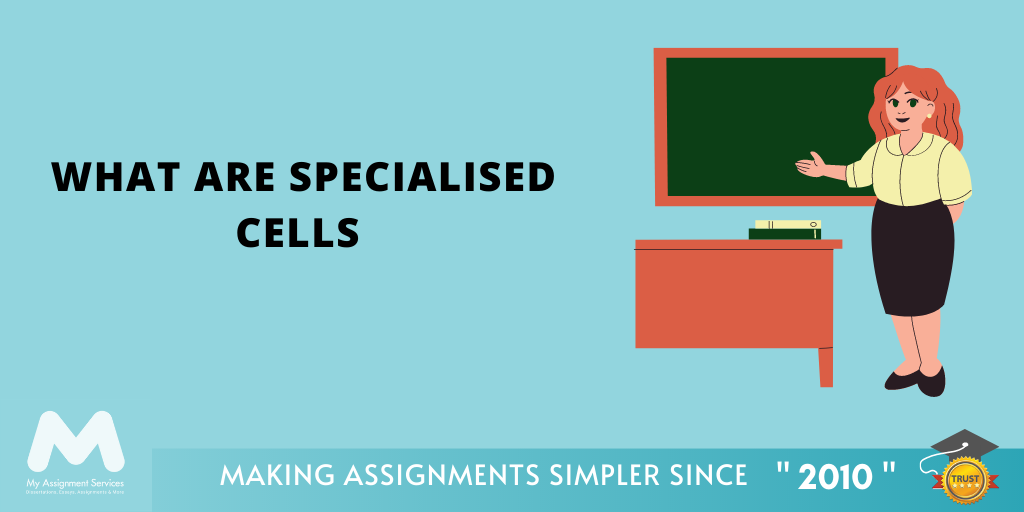Everything You Need to Know About Specialised Cells in Humans